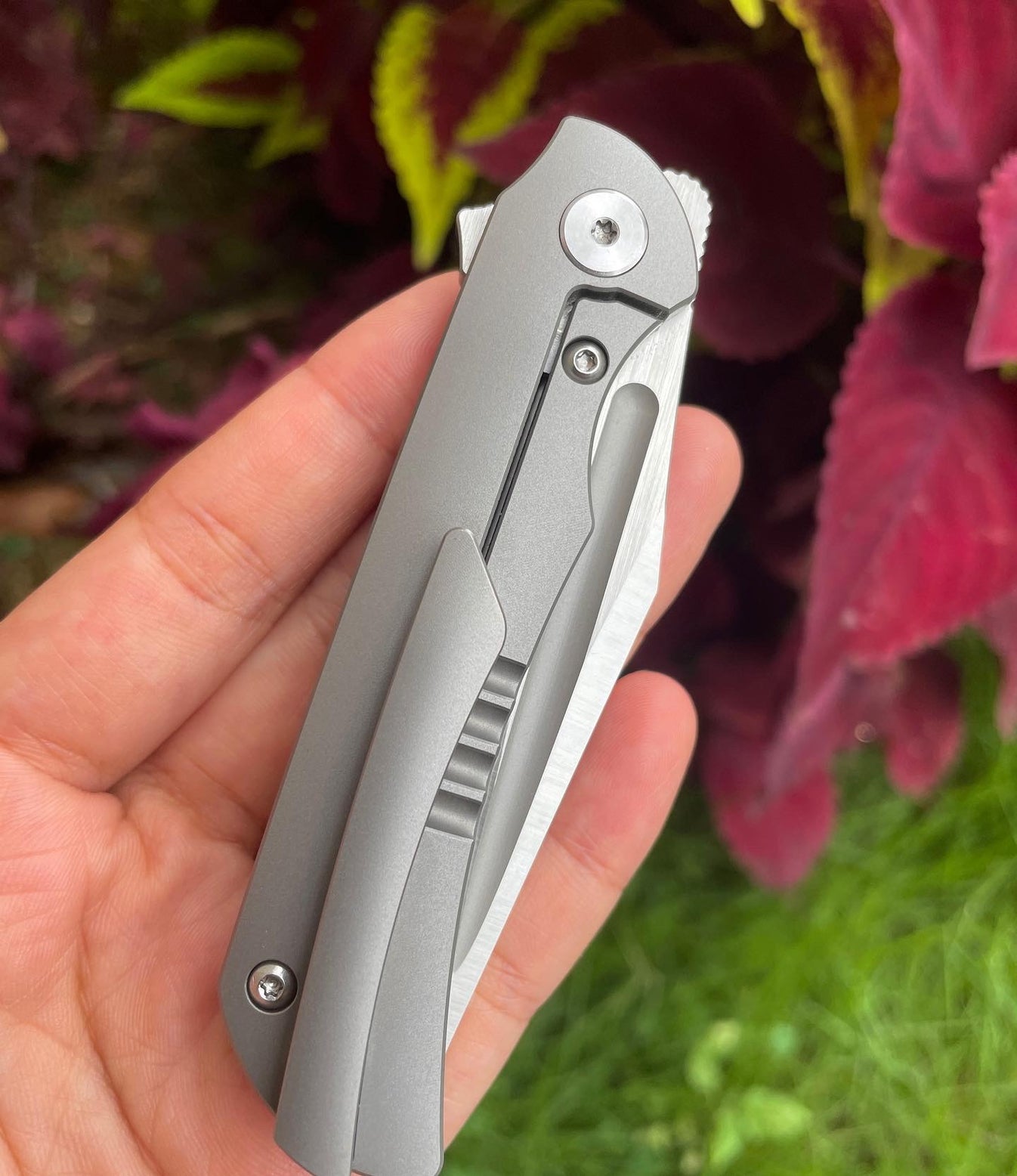 DTF – Dan Carraher Knives